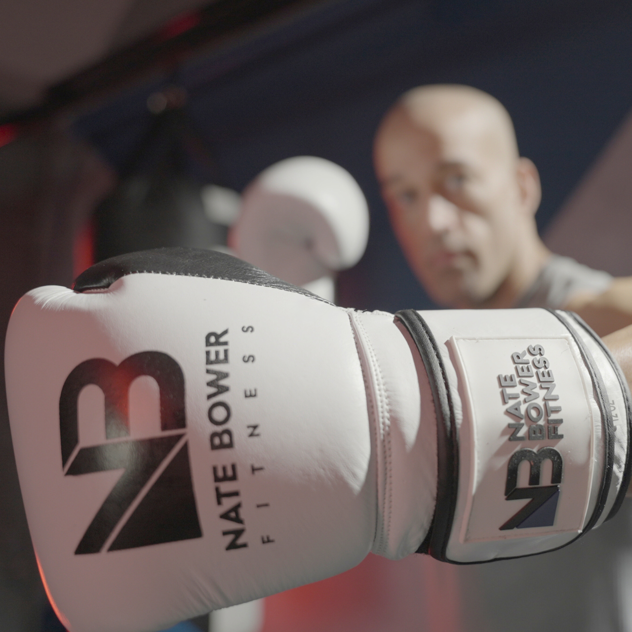 Elite Punching Bag Boxing Gloves – Nate Bower Fitness Shop